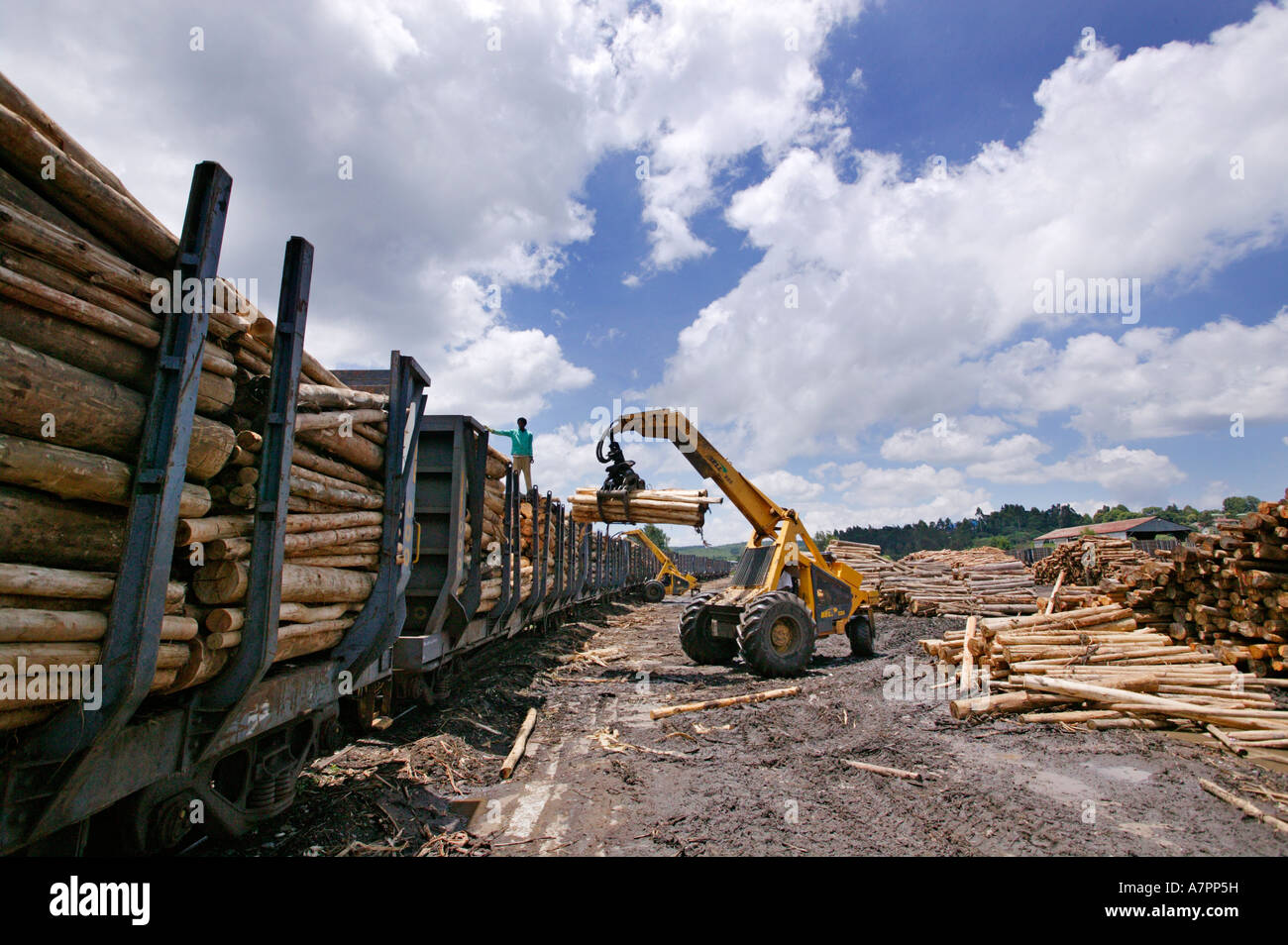 Logs train hi-res stock photography and images - Alamy
