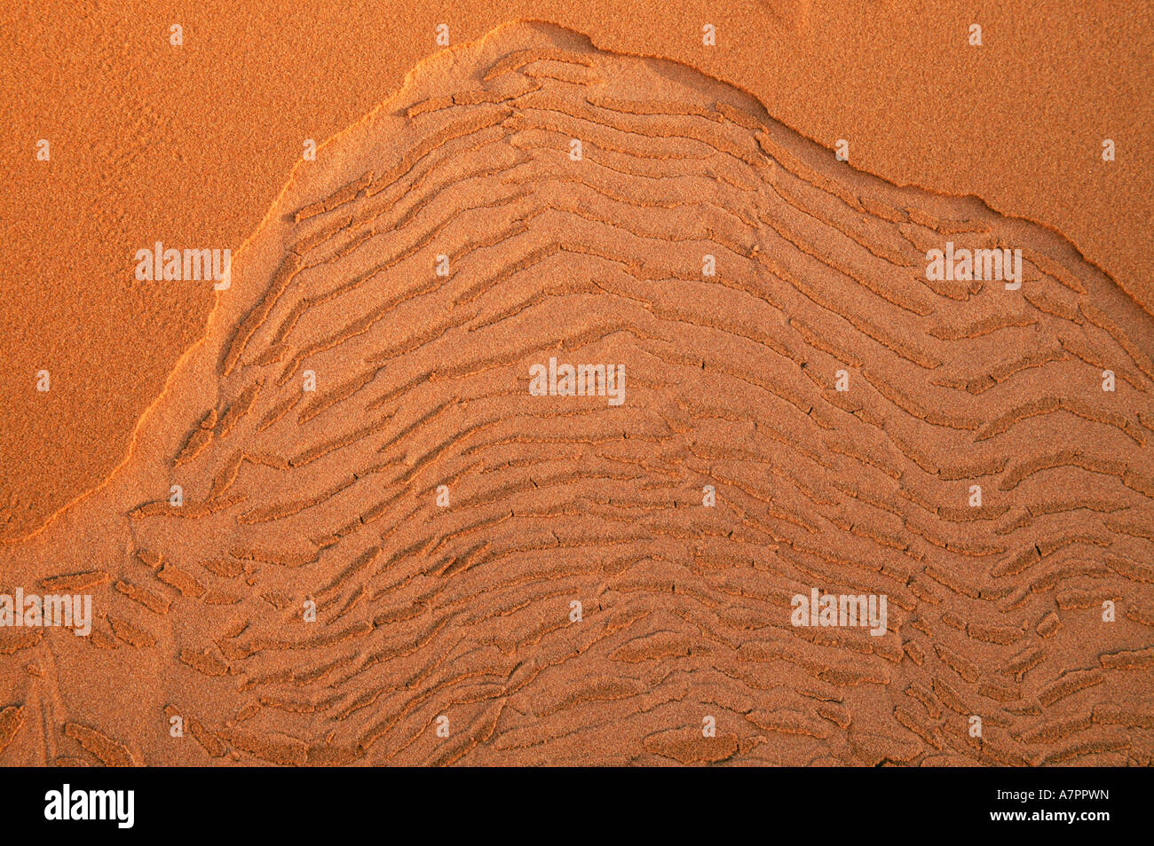 Sand texture caused by sand slipping on a steep face of a sand dune ...