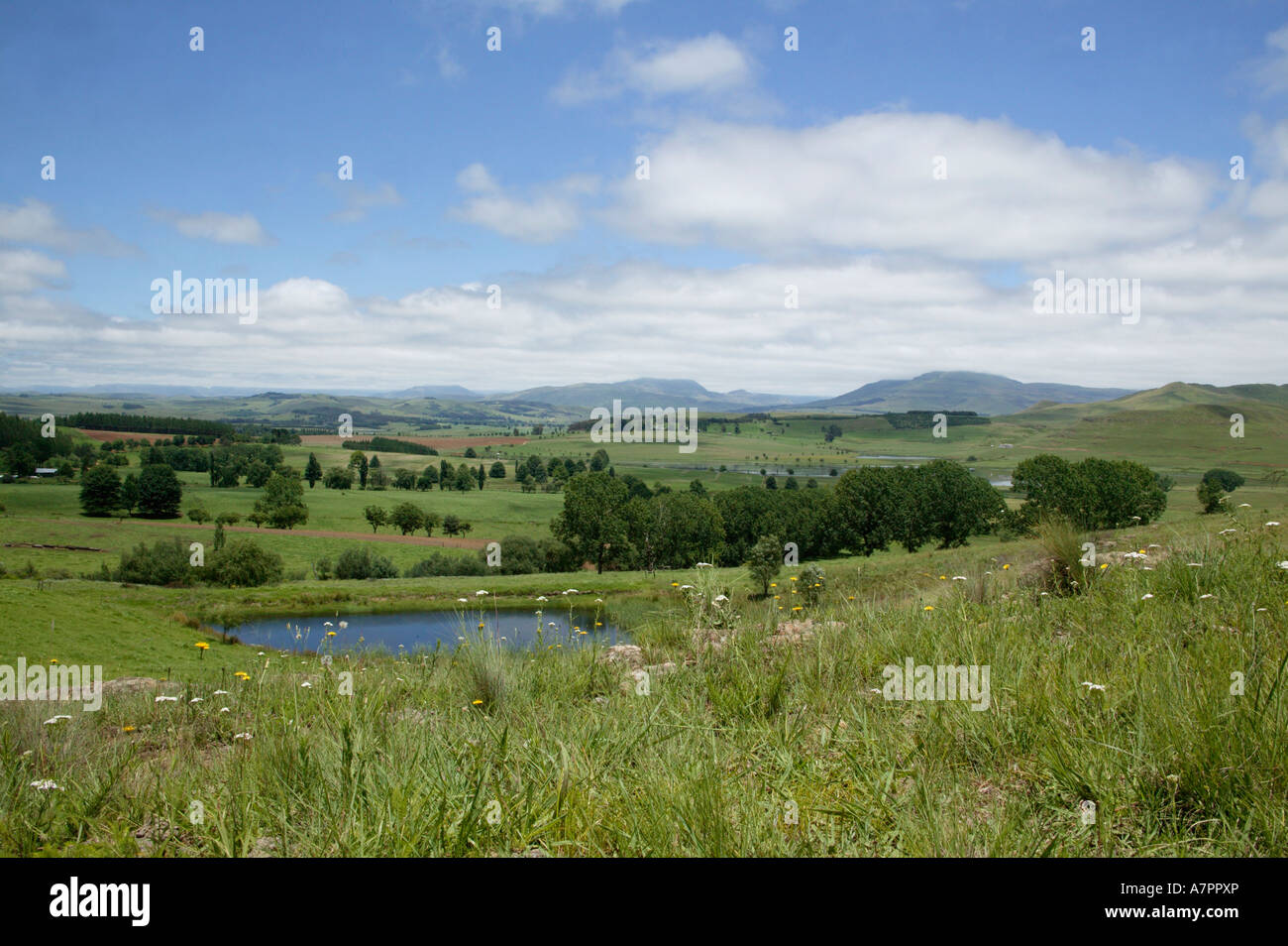 Underberg hi-res stock photography and images - Alamy