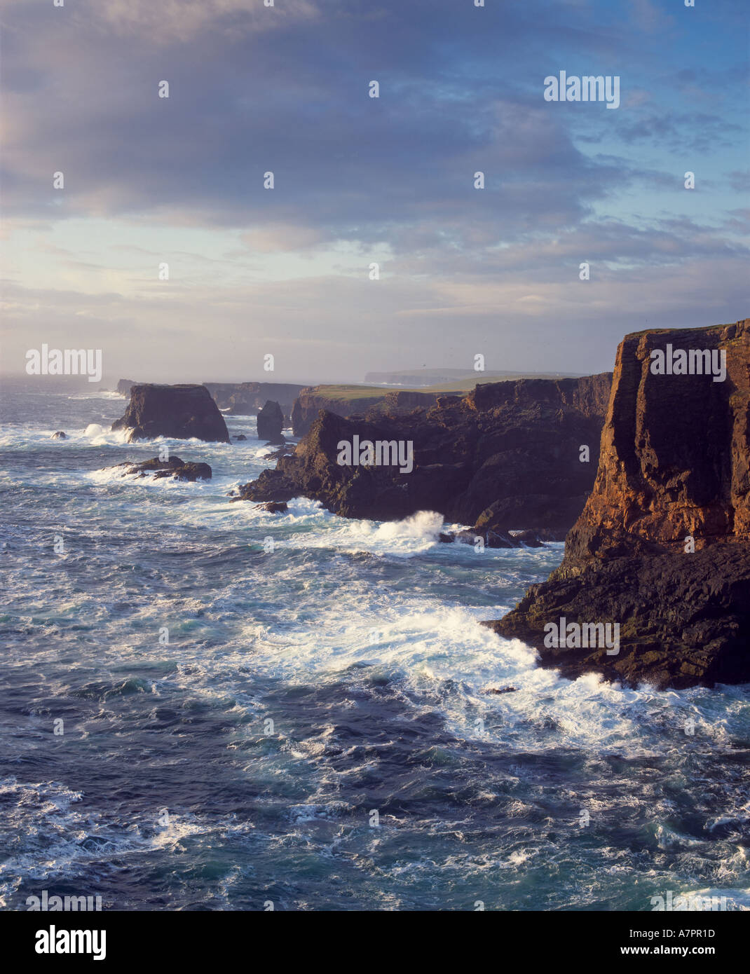 Basalt cliffs of Esha Ness, Mainland, Northmaven, Shetland, Scotland ...
