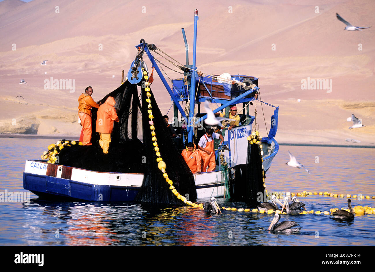 Peru, Ica Department, fishing boat at Pisco bay Stock Photo - Alamy