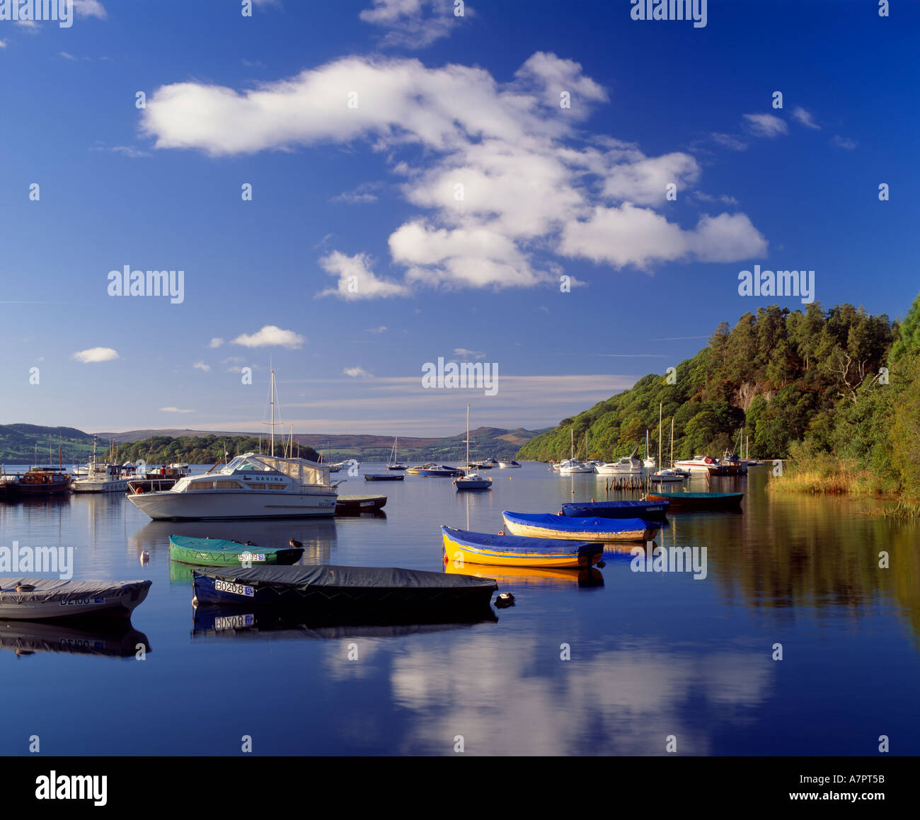 Inchcailloch loch lomond hi-res stock photography and images - Alamy