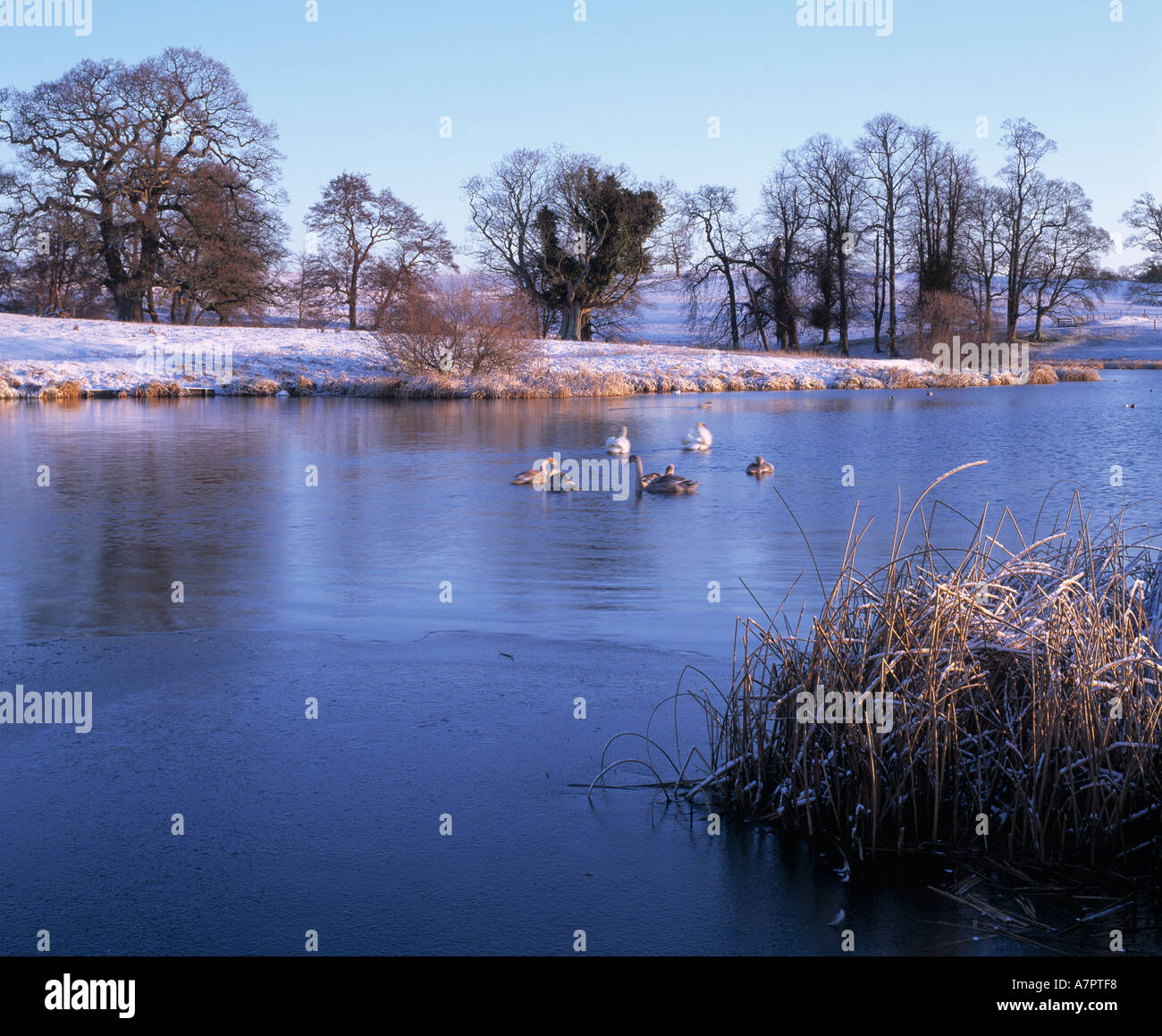 Fawsley hi-res stock photography and images - Alamy