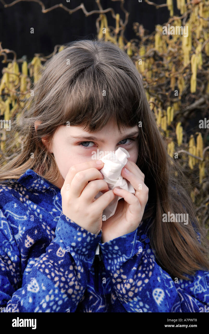 Child hay fever allergy handkerchief hi-res stock photography and ...