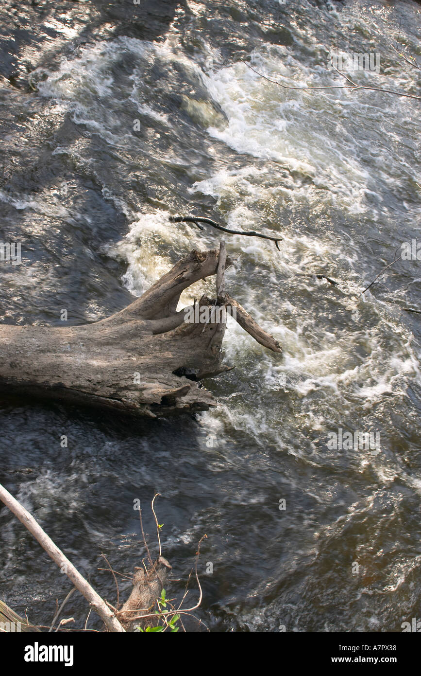 Tree caught in stream Stock Photo - Alamy