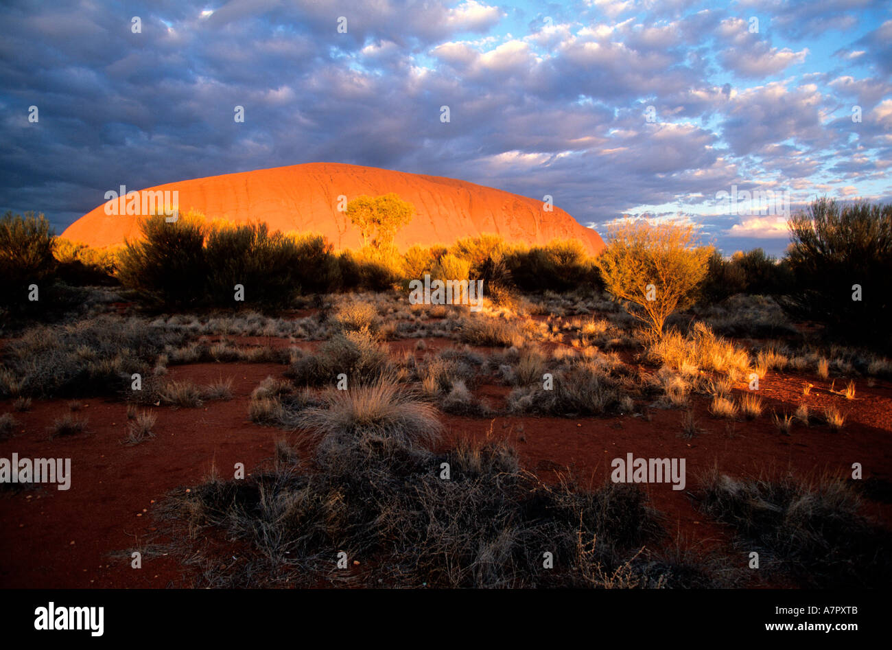 Australia, Northern Territory, Ayers Rock or Uluru Aboriginal sacred ...