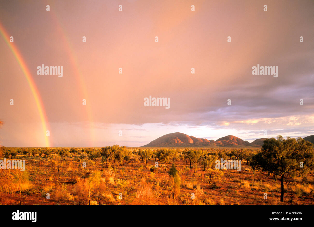 Australia, Northern Territory, the bush after the storm Stock Photo - Alamy