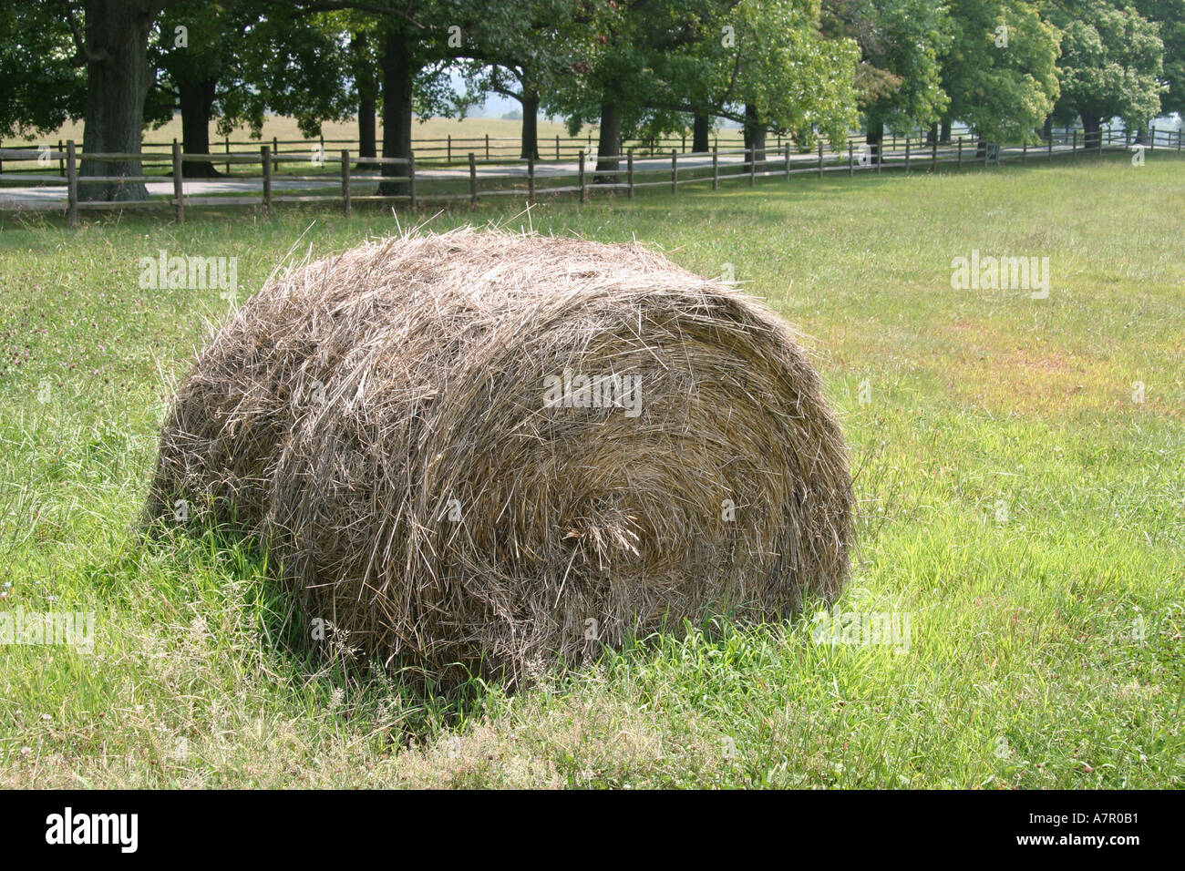 Leesburg Virginia,Loudoun County,Oatlands,19th century working ...