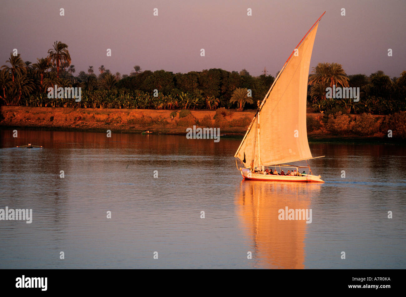 Egypt, Nile Valley, naviguation in feluca between Aswan and Luxor Stock ...