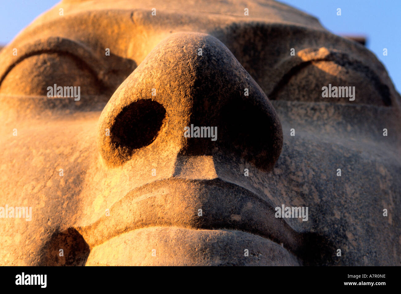Egypt, Luxor, Ramesses II's head at Luxor temple Stock Photo - Alamy