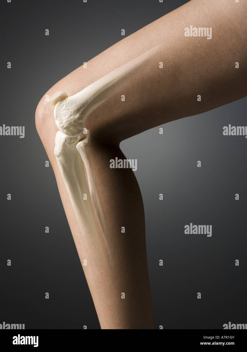 Close up knee visible hi-res stock photography and images - Alamy