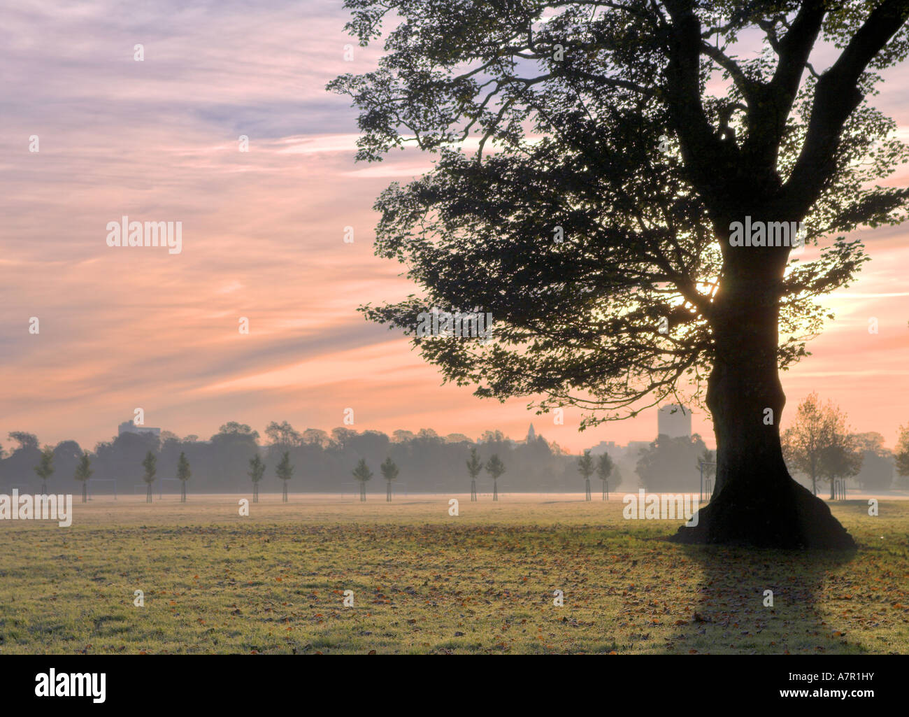 Sunrise pontcanna fields cardiff hi-res stock photography and images ...
