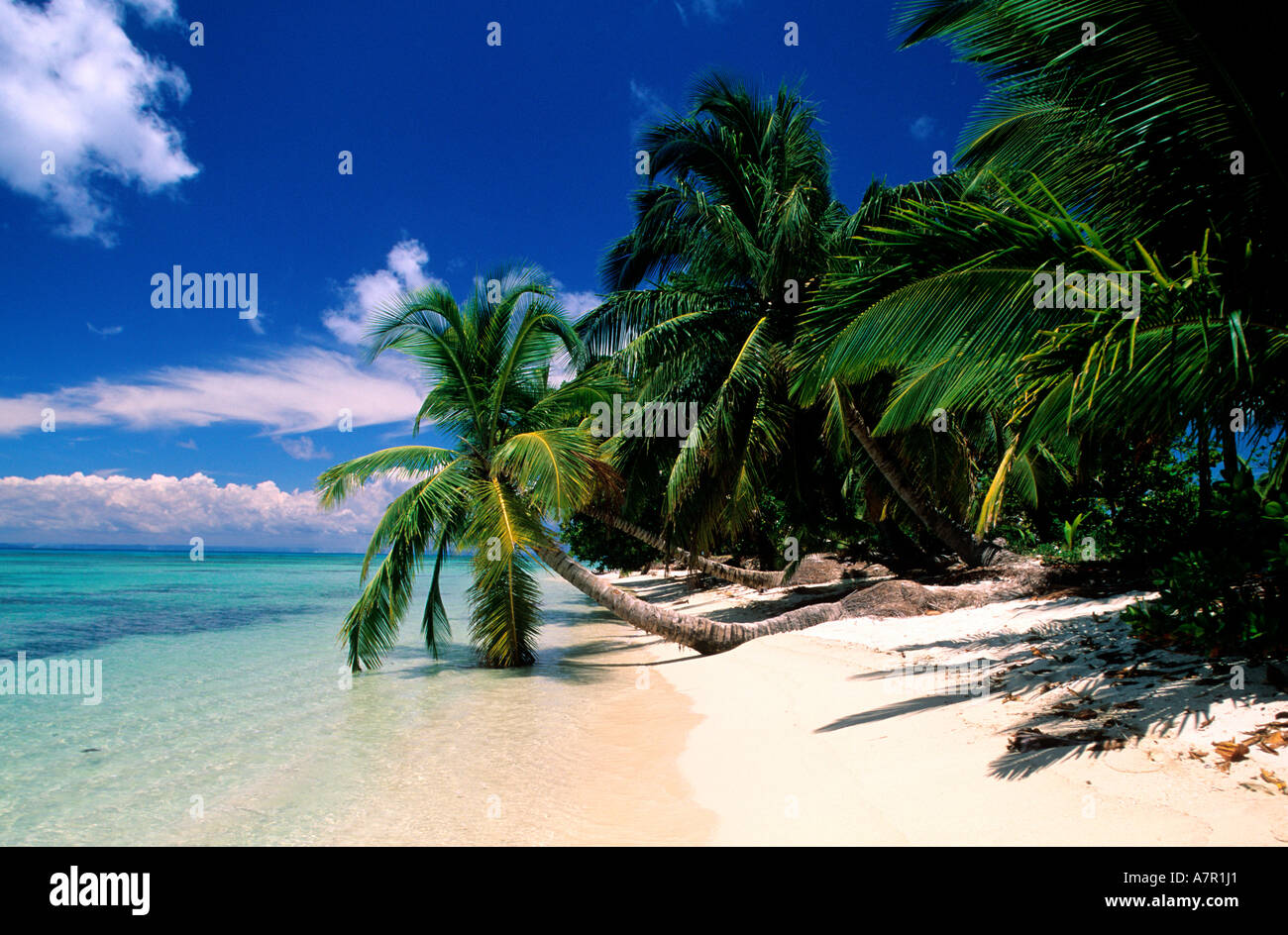 Madagascar, Eastern coast, beside Sainte Marie Island (Nosy Boraha ...