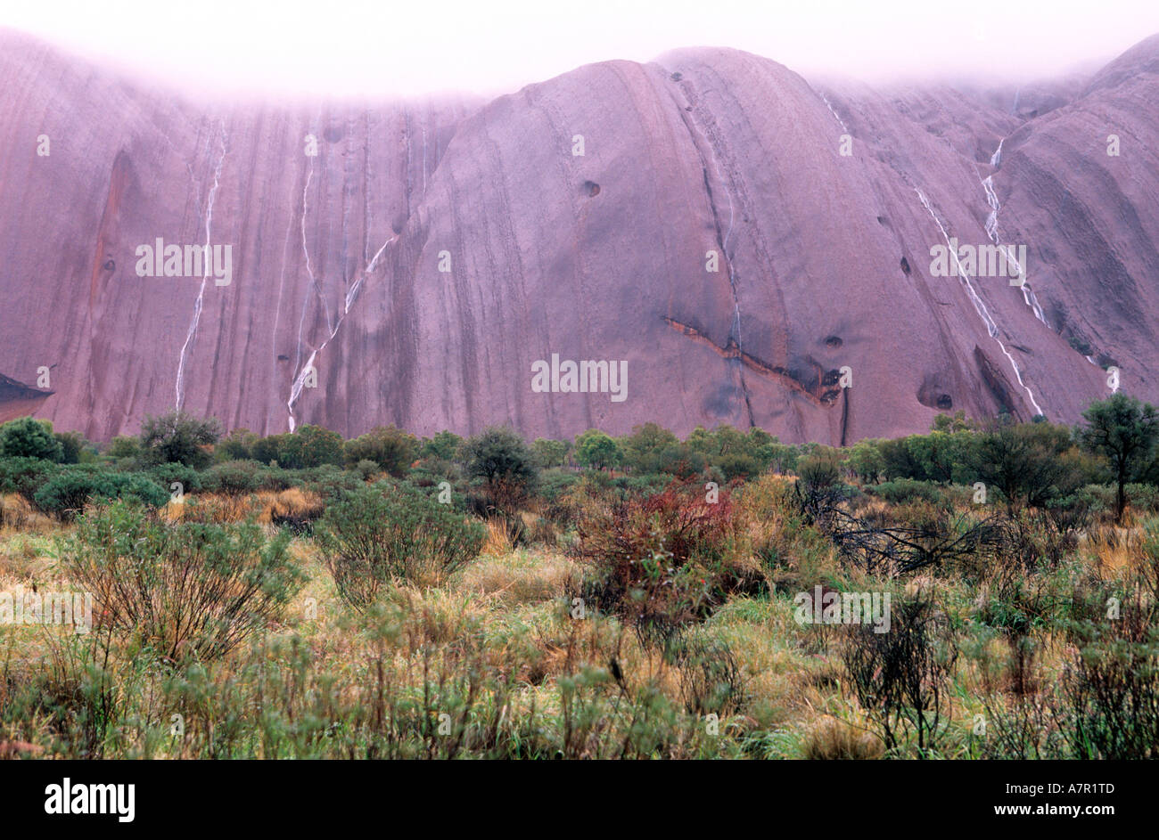 Australia, Northern Territory, Ayers Rock or Uluru, the sacred mountain ...