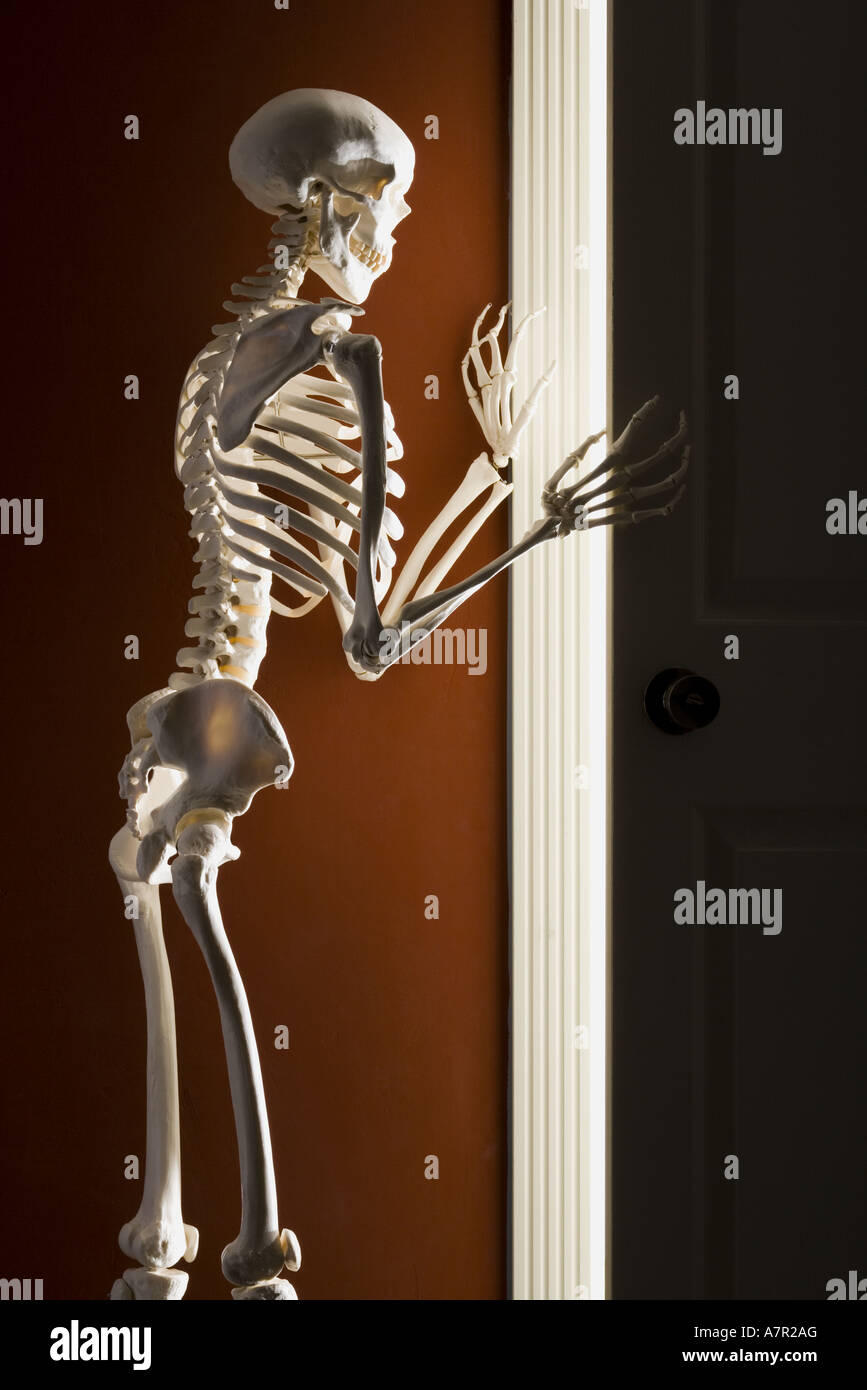 Skeleton closet hi-res stock photography and images - Alamy