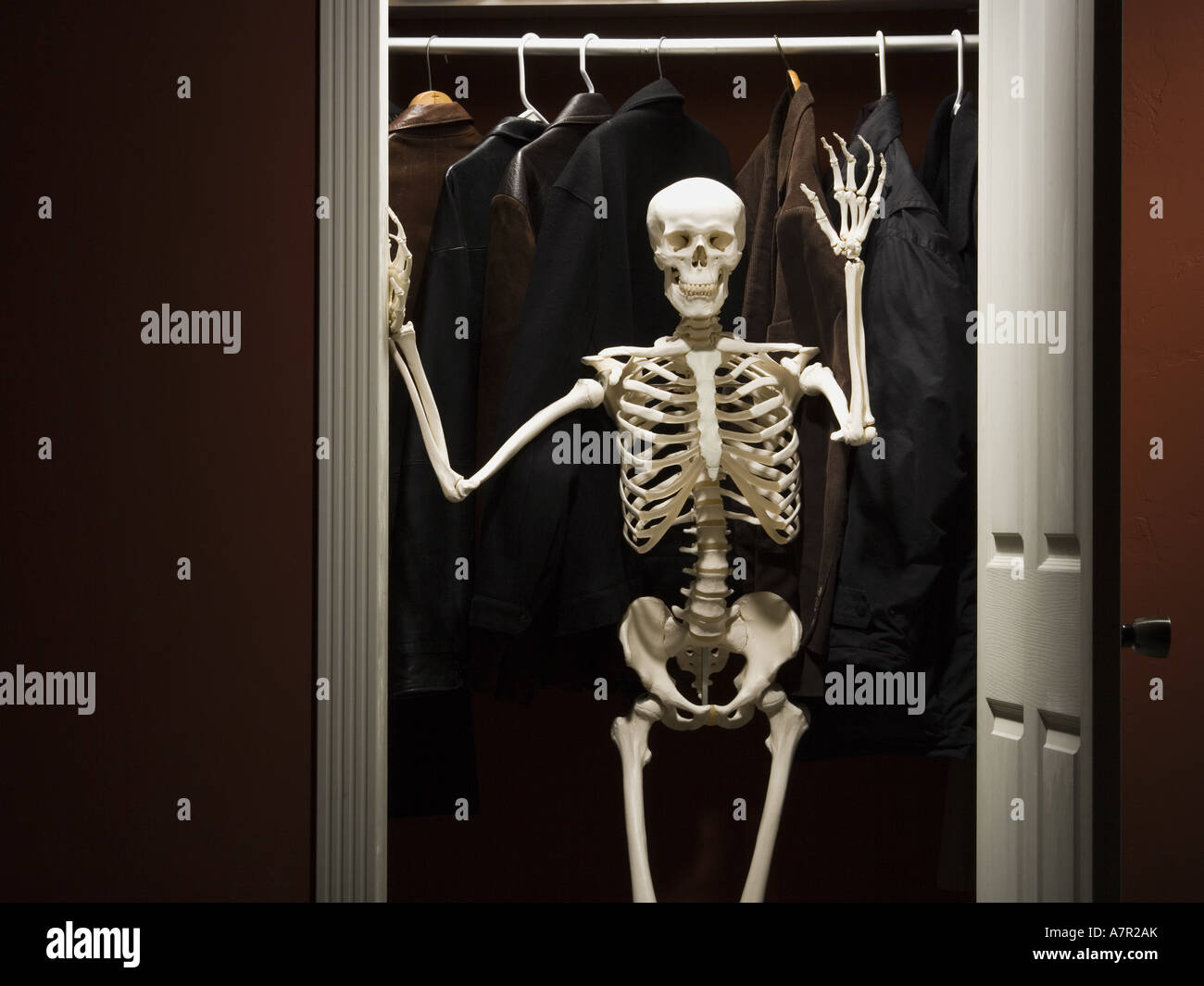 Skeleton in closet hi-res stock photography and images - Alamy