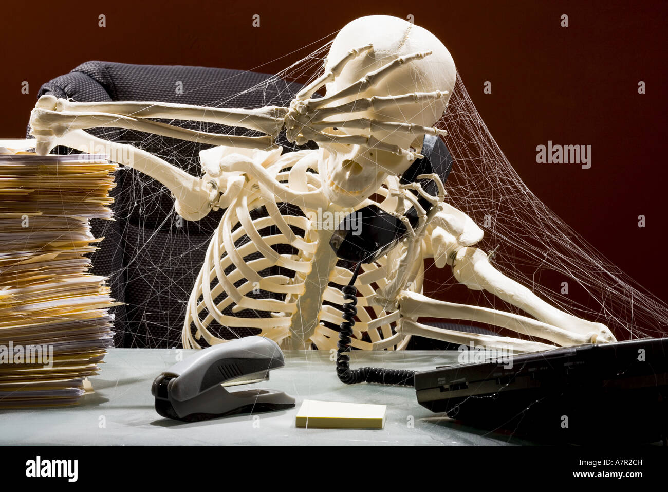 Skeleton Sitting Behind Desk