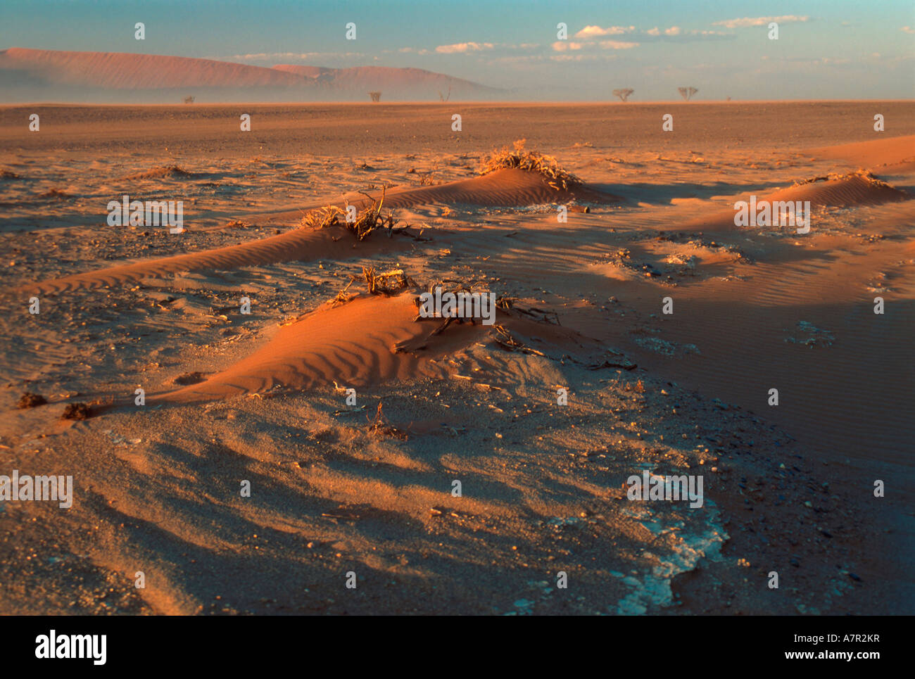 Barren ground in the valley bottom at Sossusvlei in the Namib desert ...