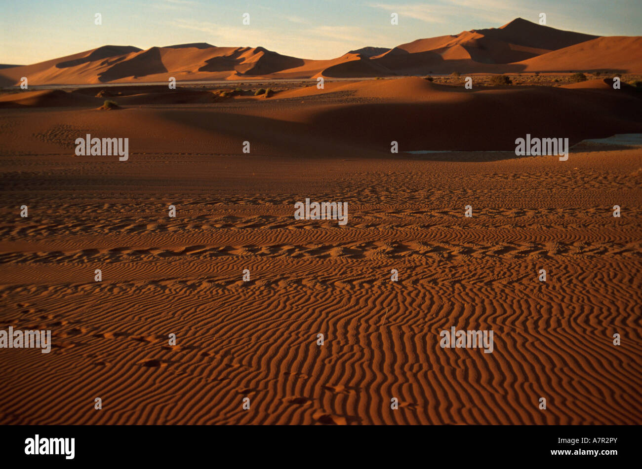 Textured sands and sand dunes of the Namib desert Namib desert ...