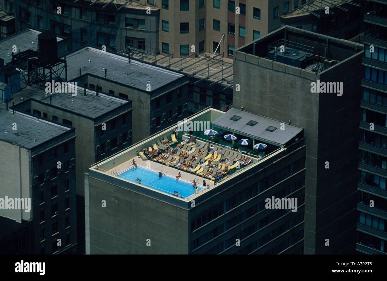 United States, New York, Manhattan, a swimming-pool on the building's ...