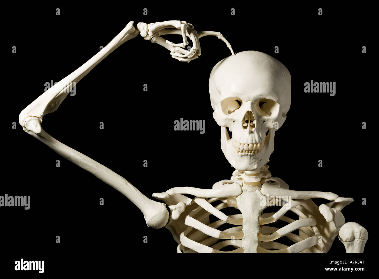 Skeleton scratching head Stock Photo - Alamy