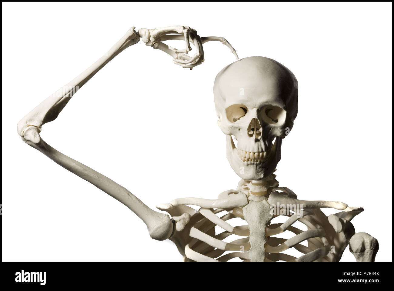 Skeleton scratching head Stock Photo - Alamy