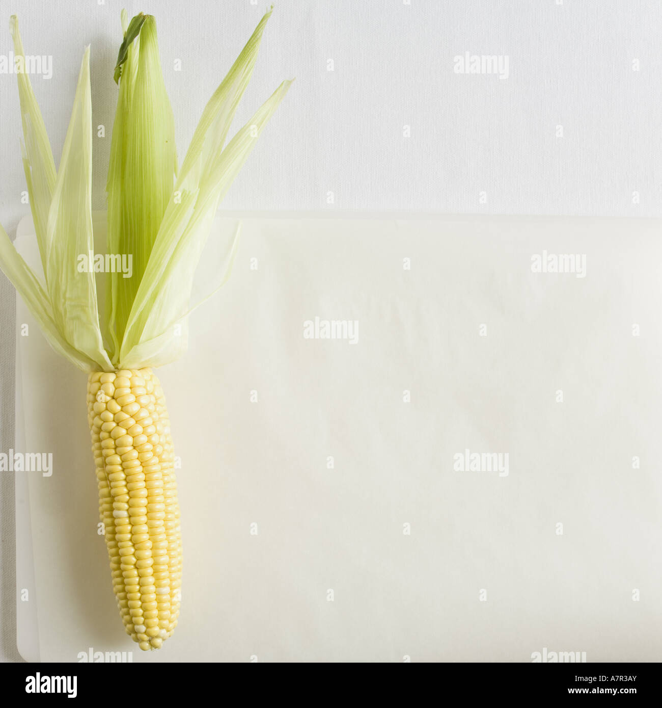 Cob of corn Stock Photo - Alamy