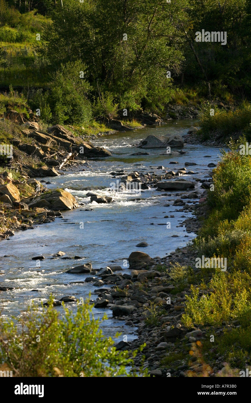 Vertical Mountain stream in Banff National Park Alberta Canada North ...