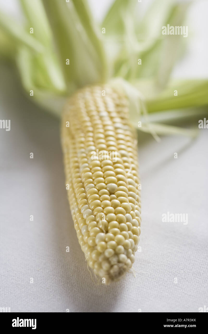 Cob of corn Stock Photo - Alamy