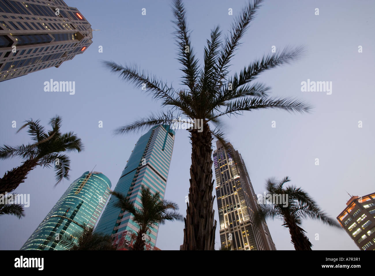 Asia china shanghai palm trees hi-res stock photography and images - Alamy