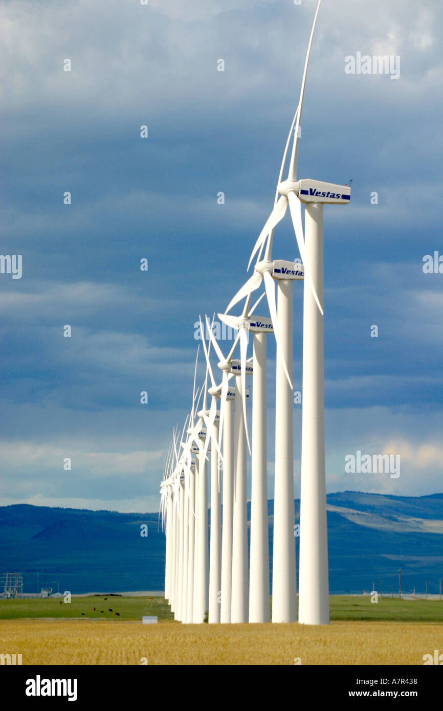 Vertical Wind Farms in Southern Alberta Canada North America Stock ...