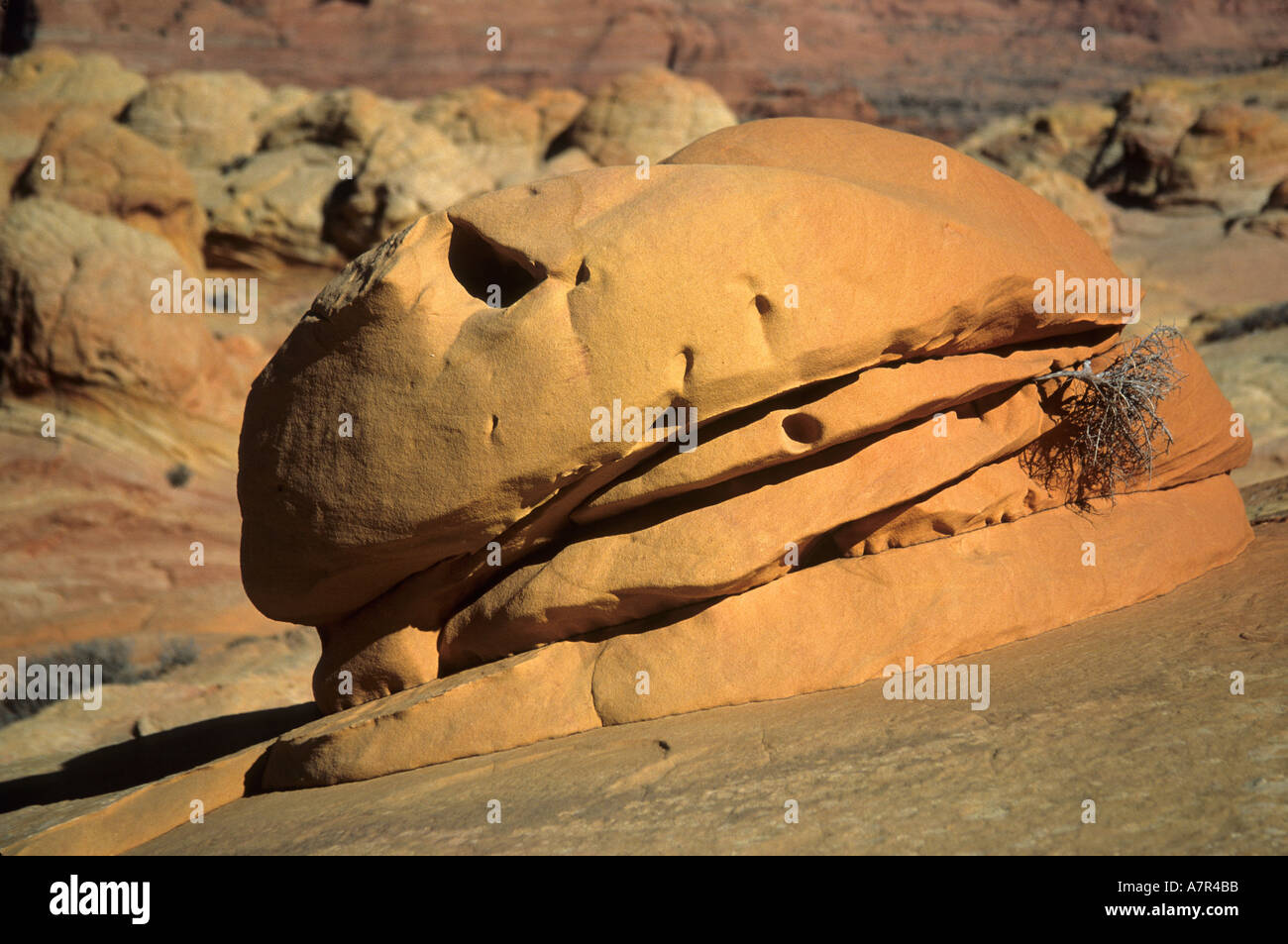 hamburger shaped rock Stock Photo - Alamy
