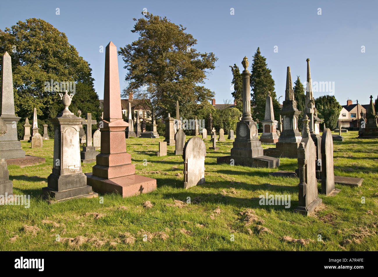 Cathays cemetery hi-res stock photography and images - Alamy