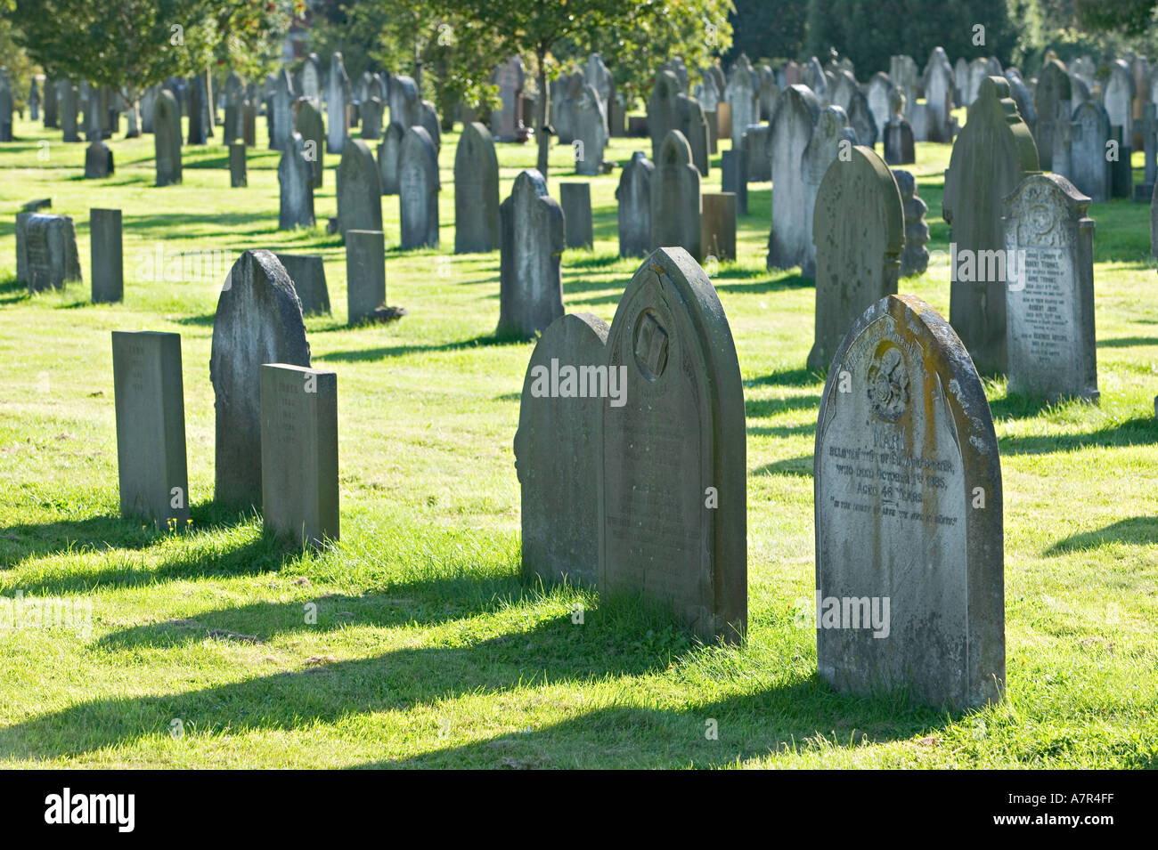 Cathays cemetery hi-res stock photography and images - Alamy