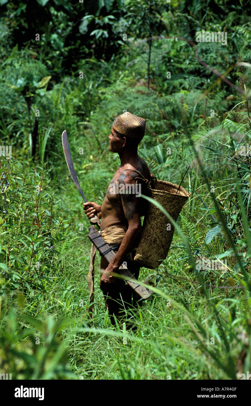 Iban people sarawak malaysia High Resolution Stock Photography and ...