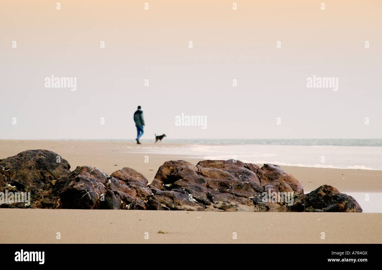 Tenby beach walker hi-res stock photography and images - Alamy