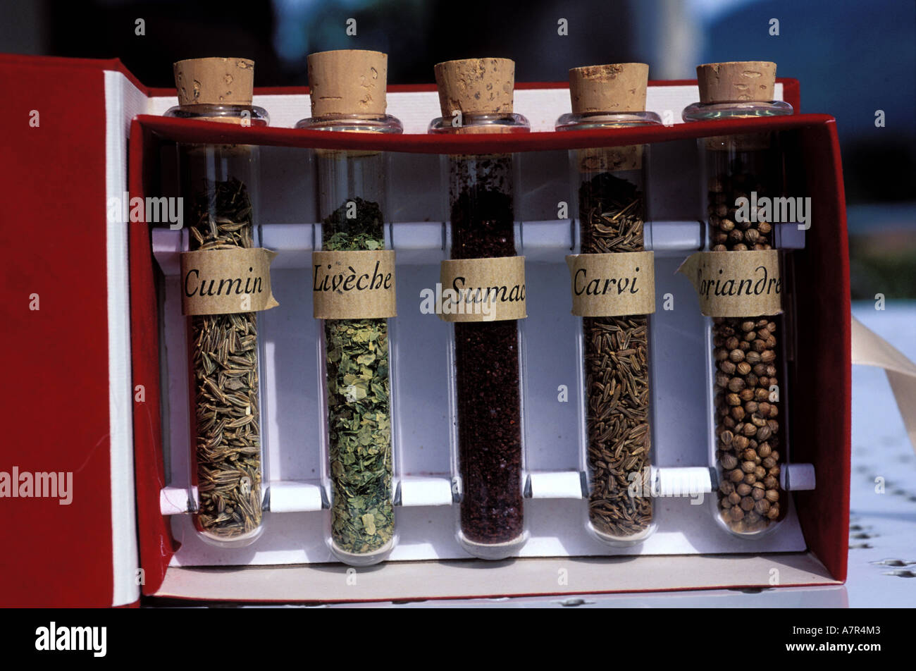 France, Haute Garonne, Valcabrere, roman style restaurant Lugdunum ...