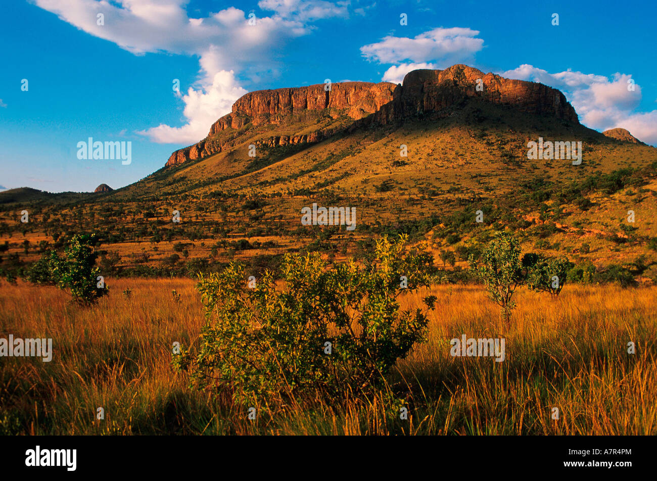Grassland on lower slopes of Kransberg Marakele National Park North ...