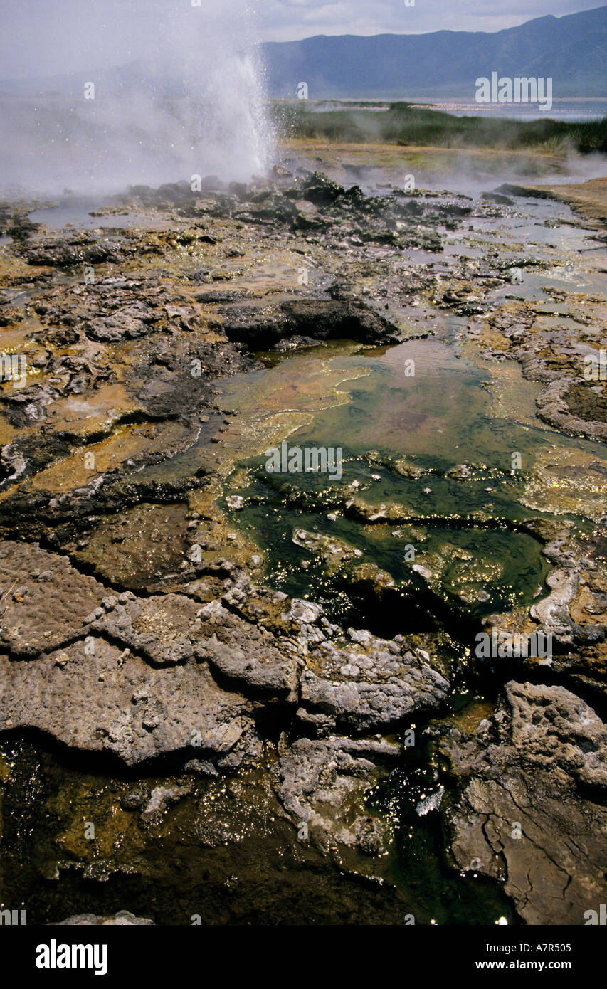 Hot Springs In Lake Bogoria High Resolution Stock Photography and ...