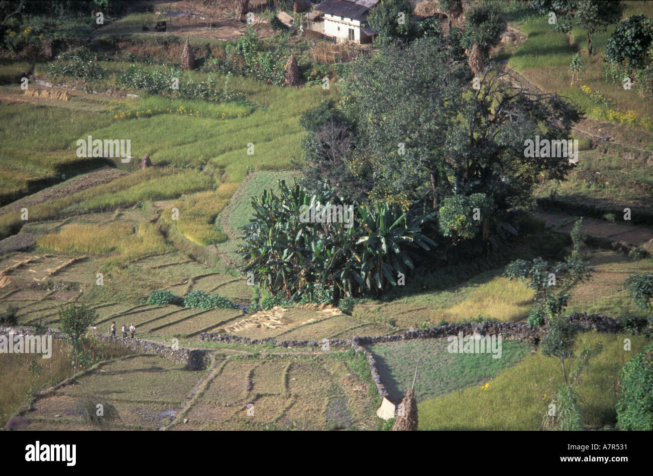 Plots of farm land Stock Photo - Alamy
