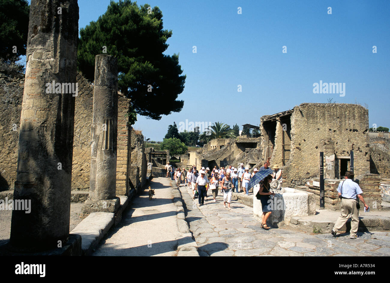 Ruins of Herculaneum near to Naples in Italy A town that was submerged ...
