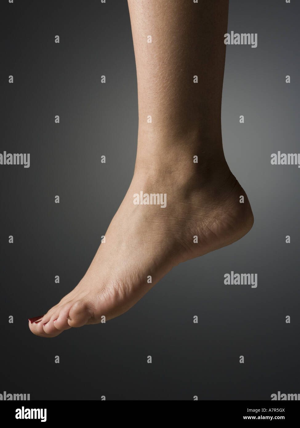 Detailed view of female bare foot and heel profile Stock Photo - Alamy