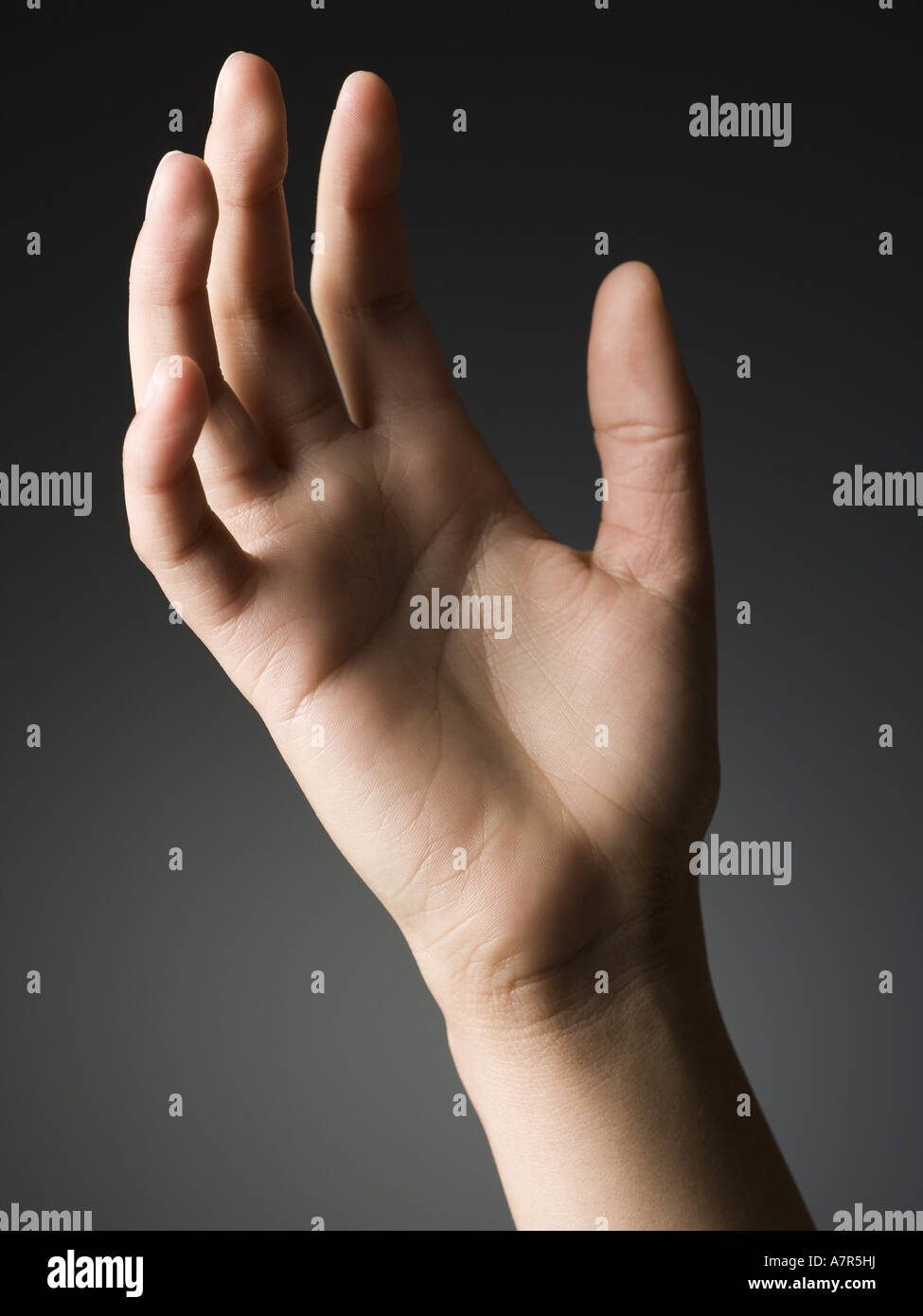 Female hand and fingers close up Stock Photo - Alamy