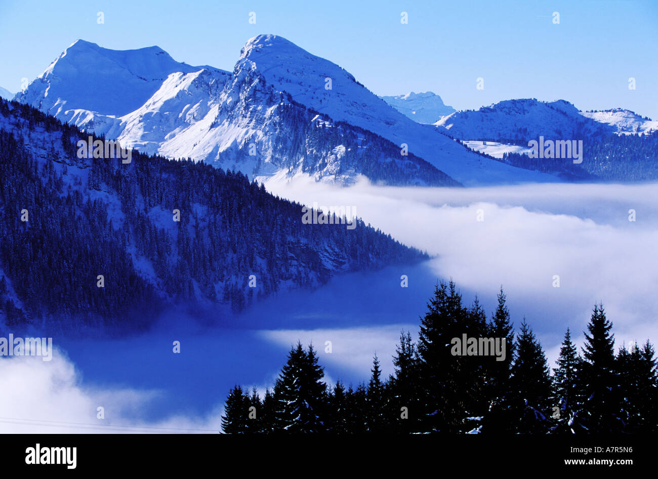 Pointe de nyon hi-res stock photography and images - Alamy