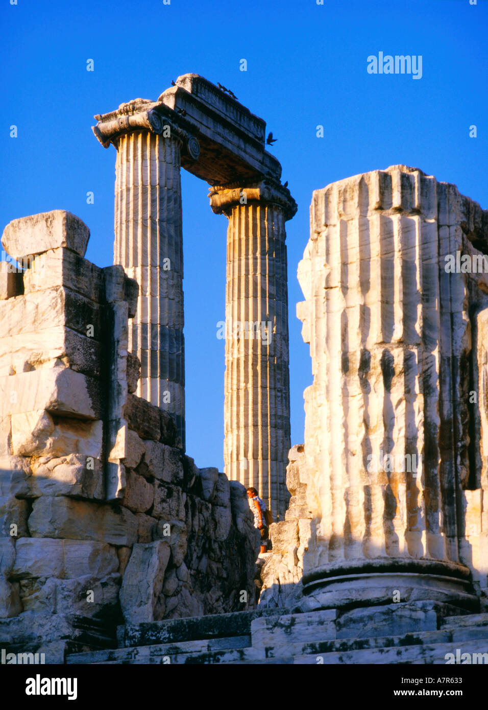 Temple of Apollo Didyma Turkey Stock Photo - Alamy