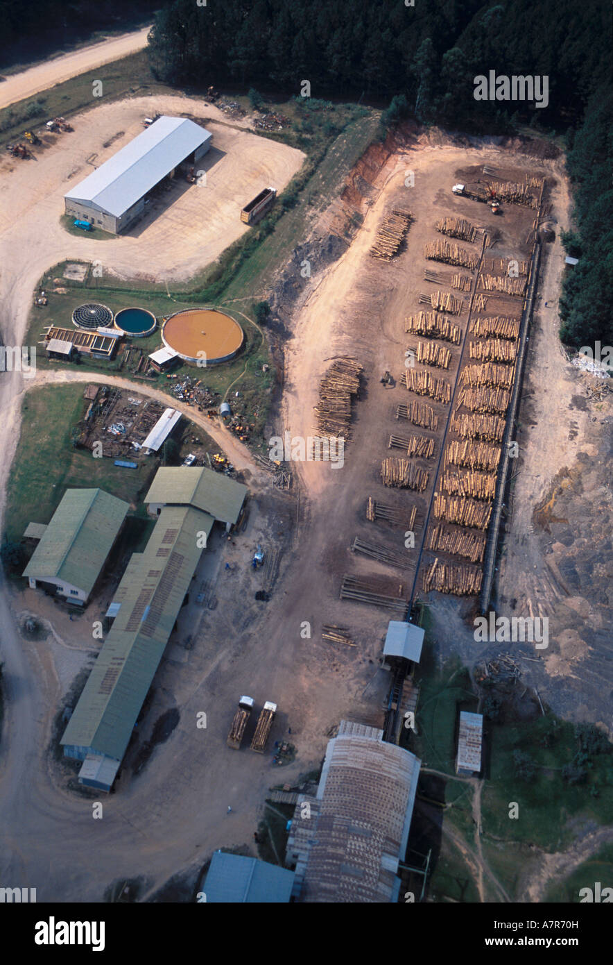 An aerial view of a sawmill showing neatly stacked and sorted logs the ...