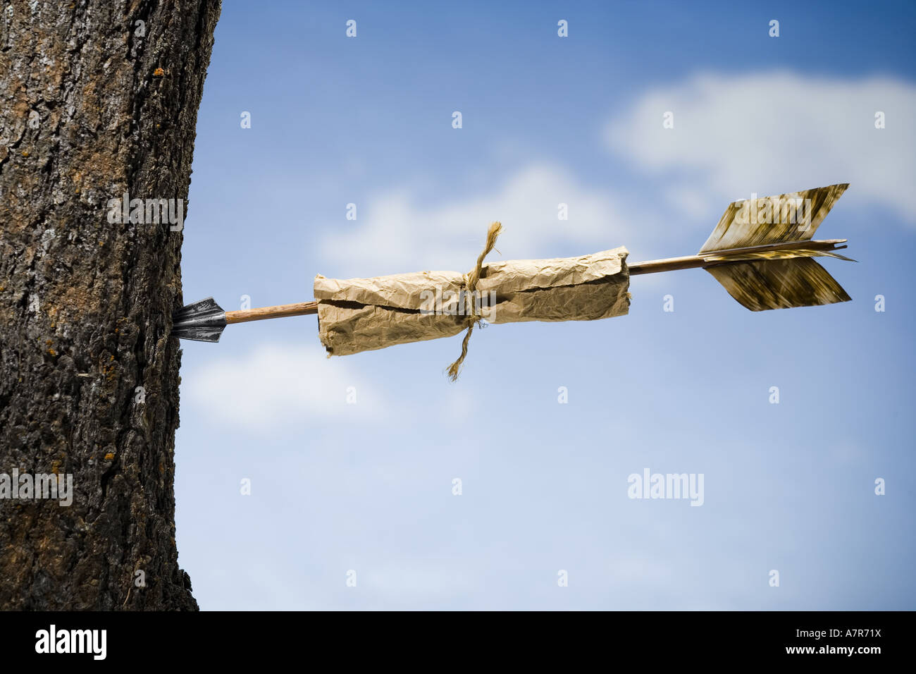 Tree with arrow and note outdoors Stock Photo - Alamy