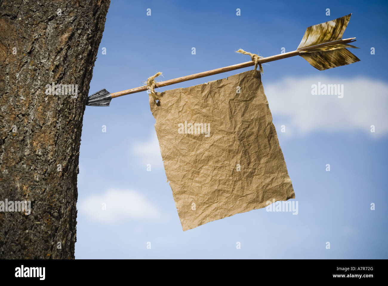 Arrow with note stuck in tree Stock Photo - Alamy
