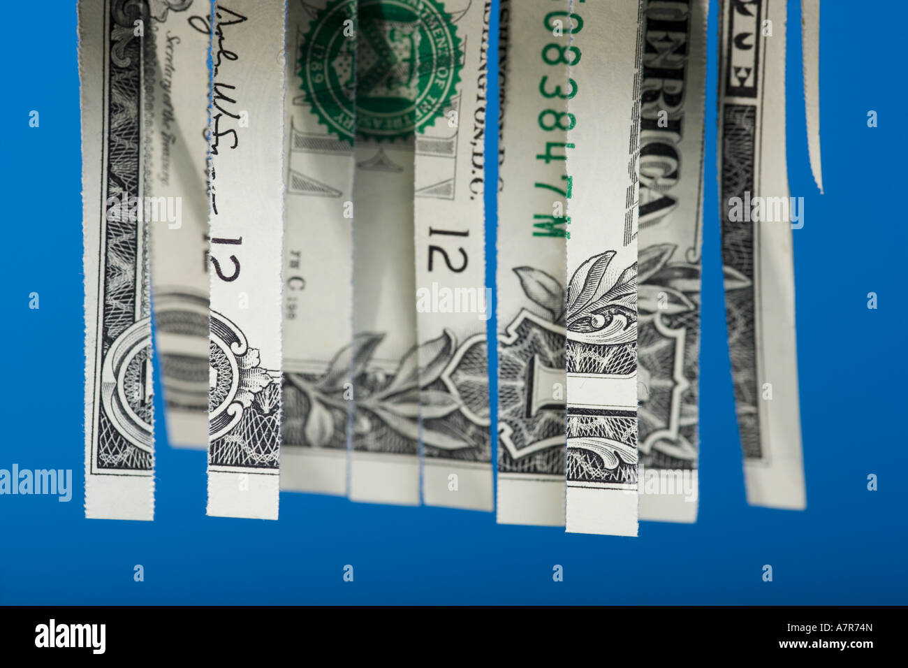 Shredded money bill hi-res stock photography and images - Alamy