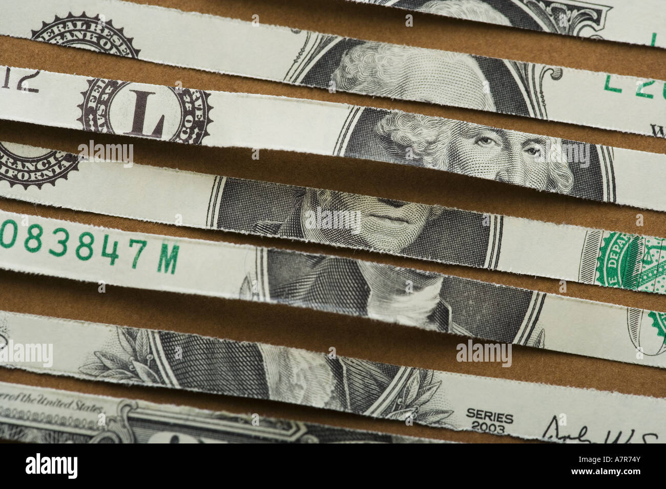 Detailed view of shredded US banknote Stock Photo - Alamy